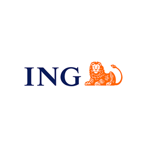 ING Bank Slaski Exchange Rates | PLN Money Transfers